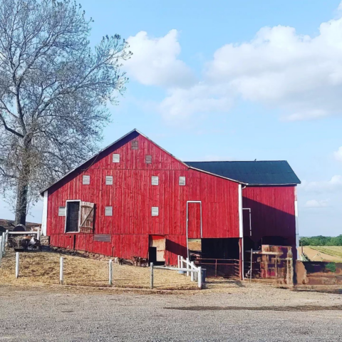 Farm Gallery - Red Barn Farm Market